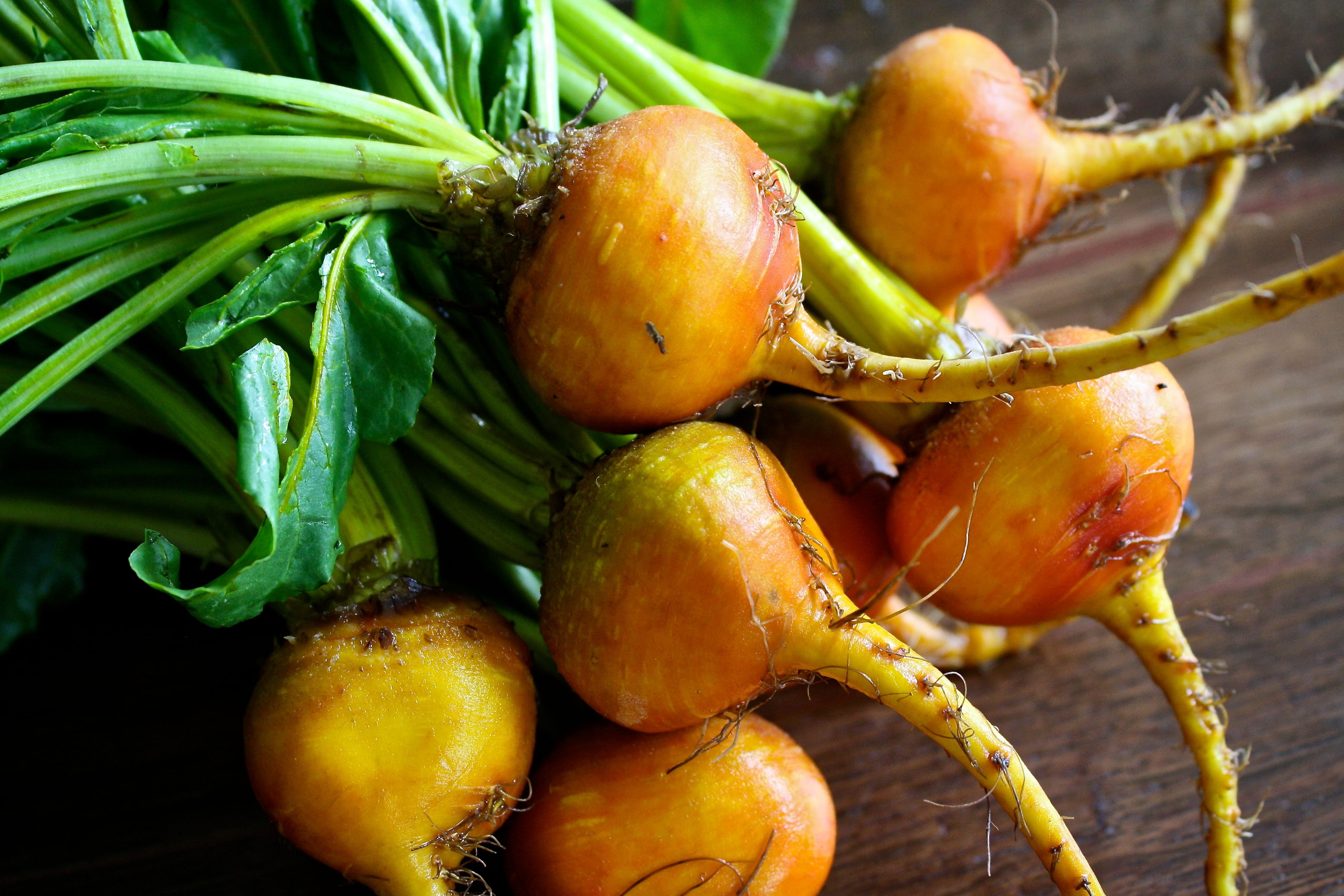 Navet Boule d'Or | Légumes & Primeurs Bretons, 29